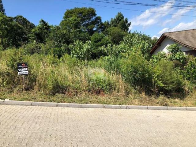 Terreno no bairro Pousada da Neve em Nova Petrópolis/ Serra Gaúcha
