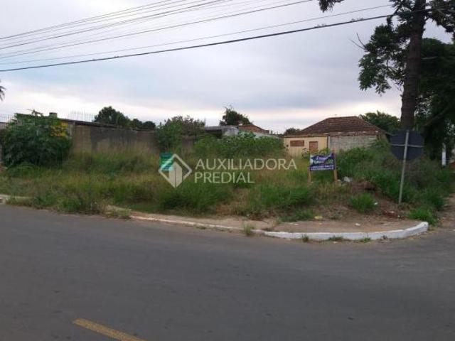 Terreno no bairro Ramada
