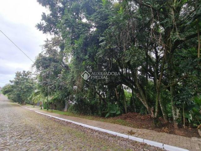 Terreno no bairro Rondônia em Novo Hamburgo com 1.400 m²