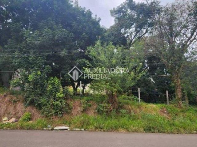 Terreno no bairro Rondônia em Novo Hamburgo