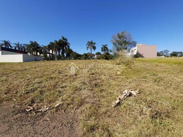 Terreno no bairro São Caetano