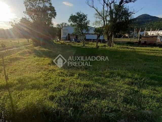 Terreno no bairro São Caetano