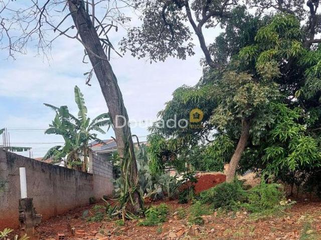 TERRENO NO BAIRRO SÃO CAMILO EM SANTA BÁRBARA D&apos OESTE