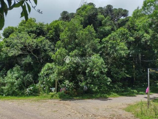 Terreno no bairro São Bernardo