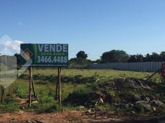 Terreno no bairro São Luis