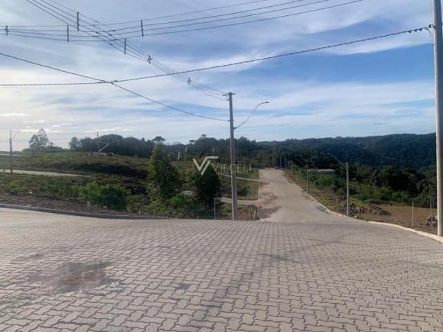 TERRENO NO BAIRRO SÃO ROQUE