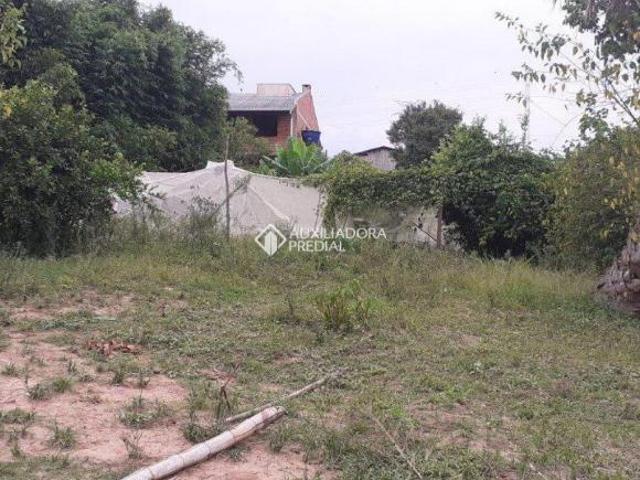 Terreno no bairro Scharlau