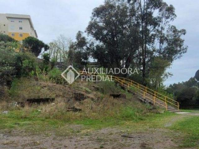 Terreno no bairro Santa Corona com 300m²