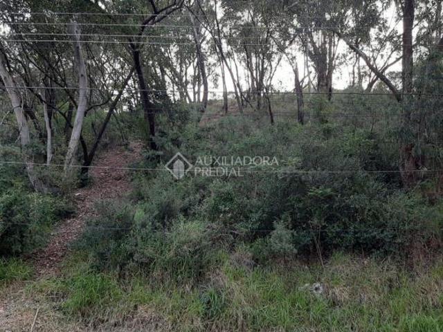 Terreno no bairro Santa Isabel