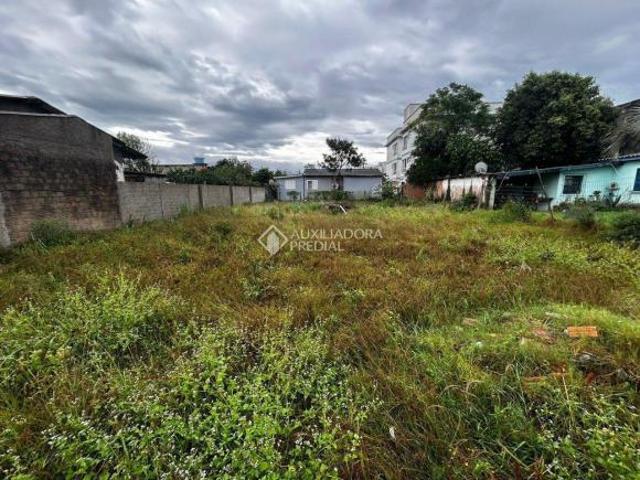 Terreno no Bosques do Albatroz