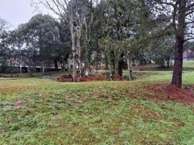 TERRENO NO CARNIEL GRAMADO