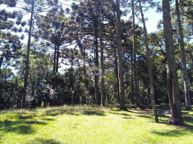 Terreno no Caracol com 750m², em Canela
