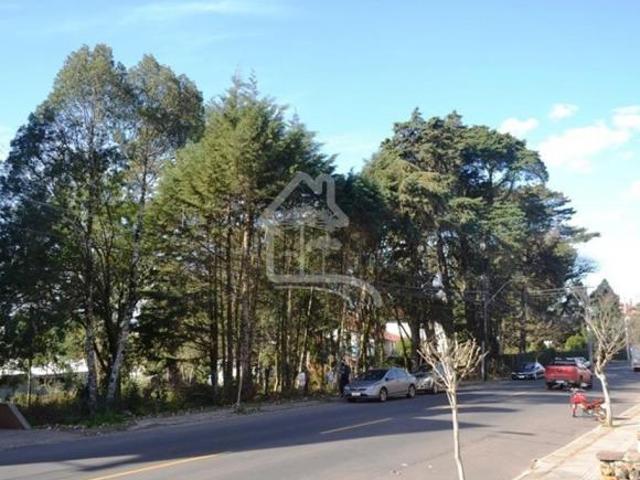 TERRENO NO CENTRO