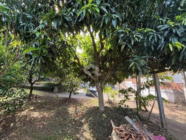 TERRENO NO CENTRO
