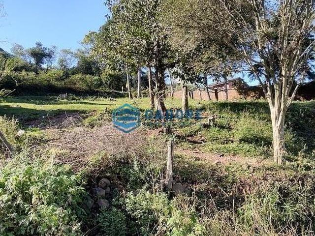 TERRENO NO CENTRO COM 2.050m²
