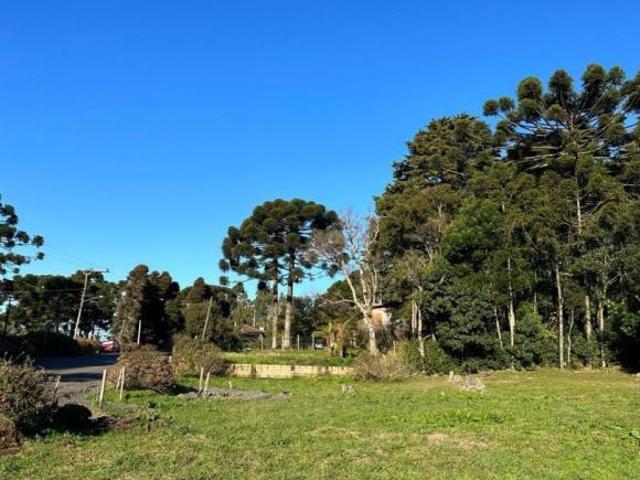 Terreno no centro da Serra Grande, Igrejinha/RS !
