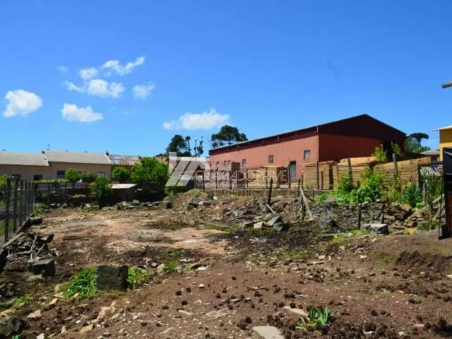 Terreno no centro de canela rs