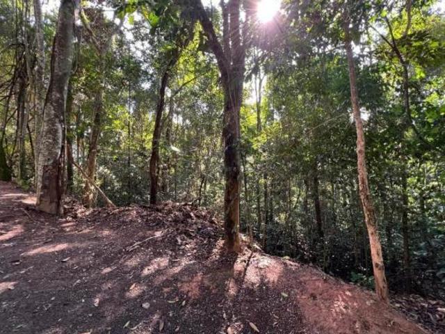Terreno no centro de São Lourenço da Serra com área de 1.000,00 m²