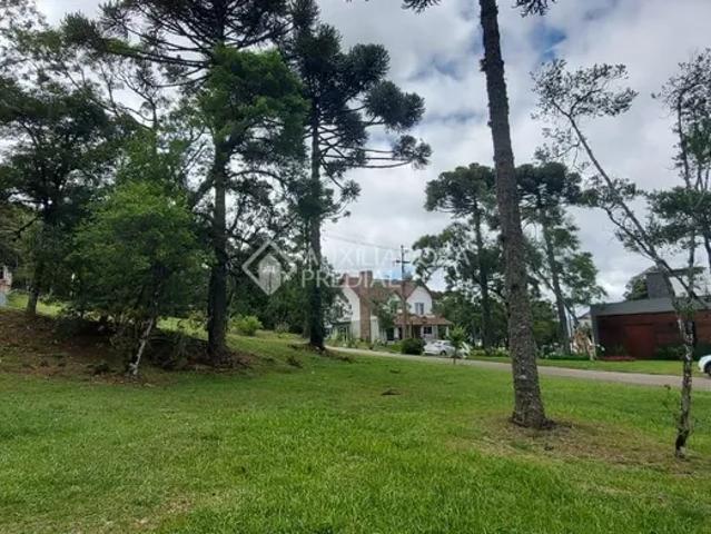 Terreno no condomínio Altos Pinheiros em Canela
