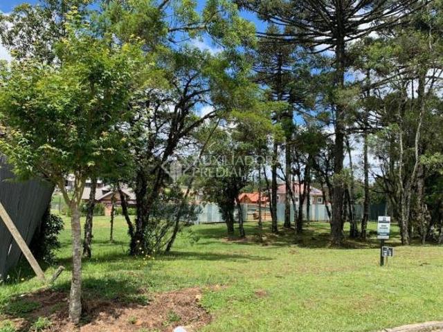 Terreno no condomínio Altos Pinheiros em Canela