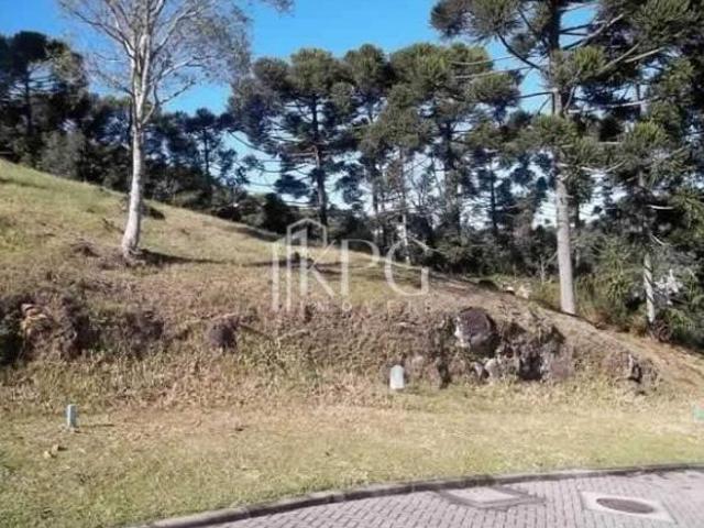TERRENO NO CONDOMÍNIO ASPEN MOUNTAIN