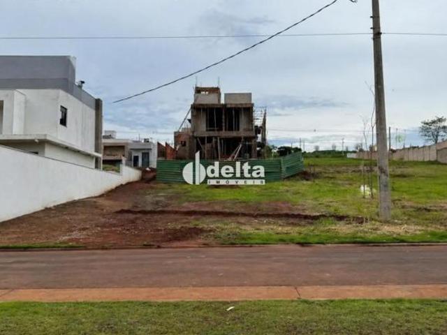 Terreno no Condomínio disponível no bairro Granja Marileusal em Uberlândia MG