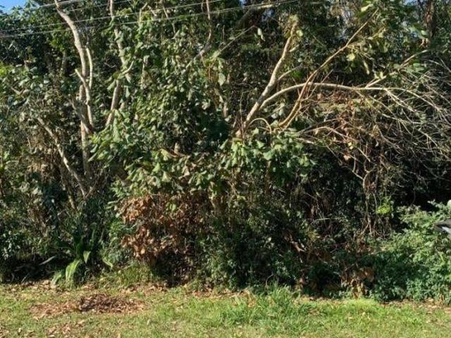 TERRENO NO CONDOMÍNIO FAZENDA DA ILHA