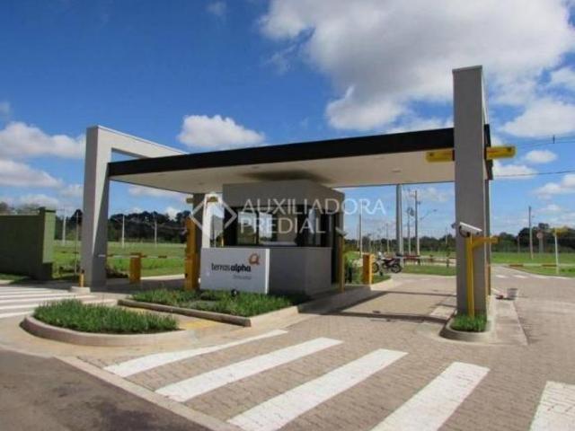 Terreno no Condomínio Terras Alpha 312m a venda em Gravatai ALPHAVILLE