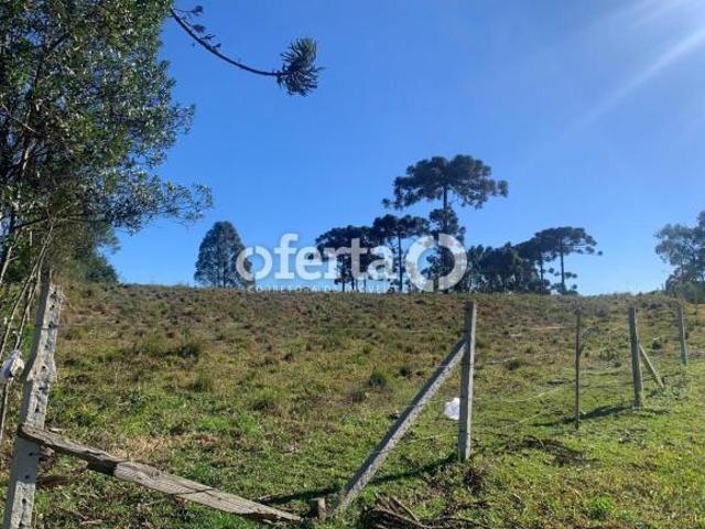 Terreno no Costeira / Araucária 23.222m2