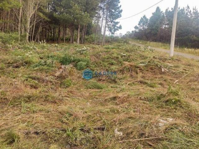 TERRENO NO DESVIO RIZZO COM 360m²