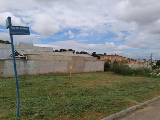 Terreno no Eucaliptos