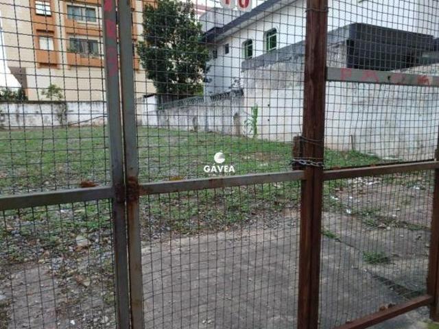 Terreno no gonzaga