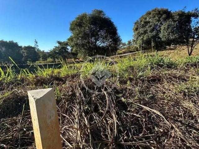 Terreno no Gran Park Douro com 405m2