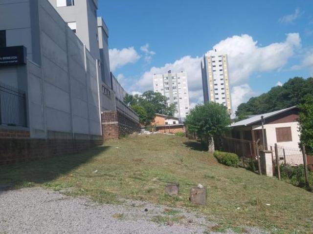 terreno no imigrante