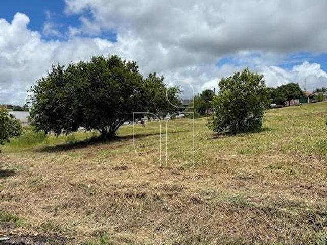Terreno no Jardim Universitario Marília