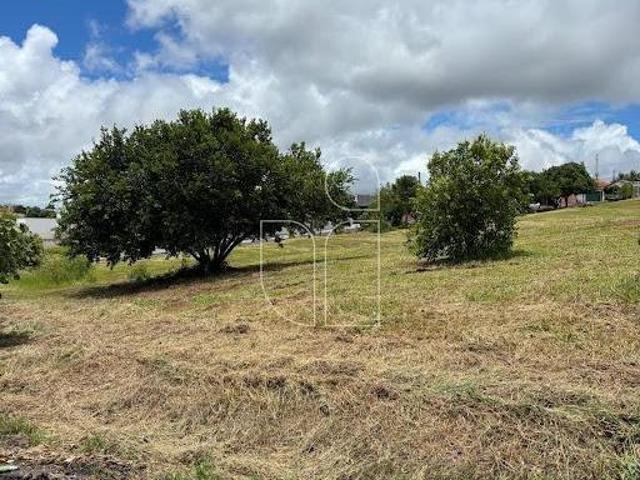 Terreno no Jardim Universitario Marília