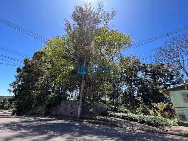 Terreno, no Jardim América