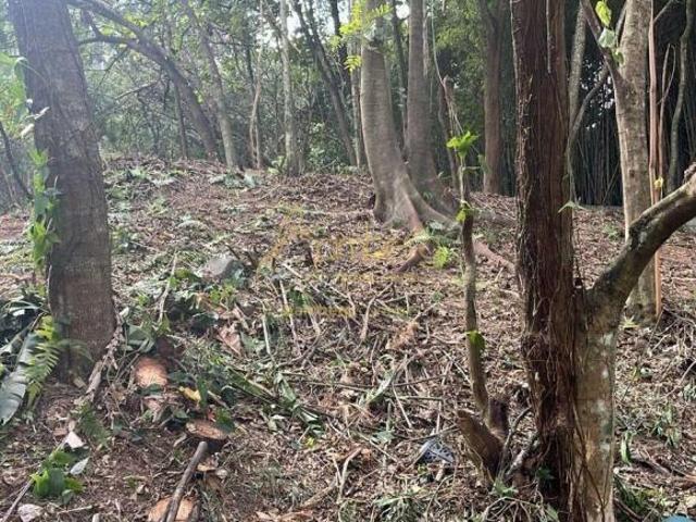 Terreno no Jardim Morumbi com 666m² e 13 metros de frente