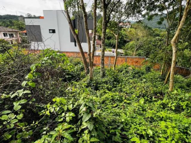 Terreno no João Paulo Fpolis
