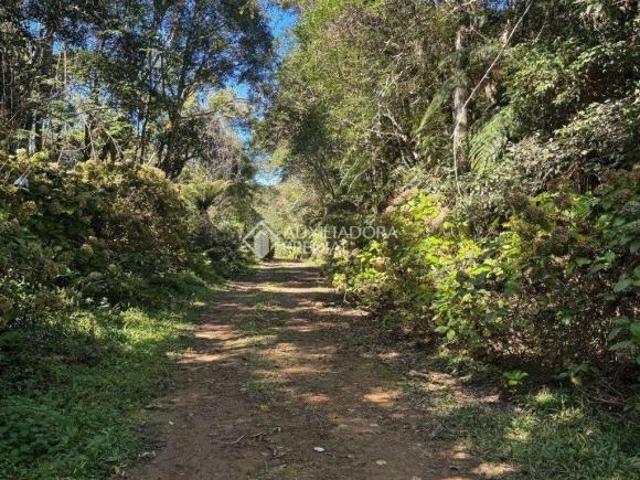 Terreno no Loteamento Colinas de São Francisco