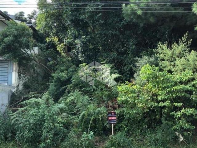 Terreno no loteamento Santo André, Bairro Santa Catarina, Caxias do Sul