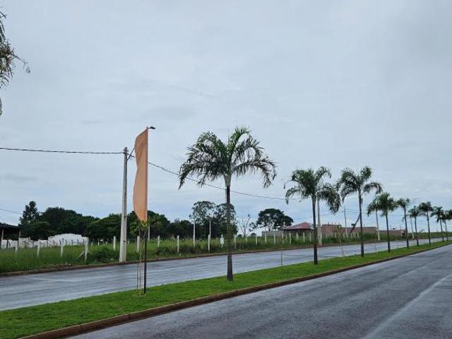 Terreno no loteamento Santo André Goianira GO