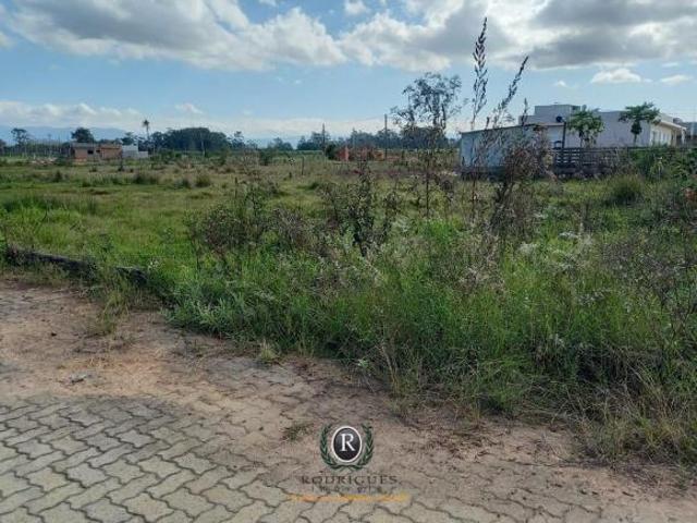 Terreno no loteamento Pedro Benz Torres RS