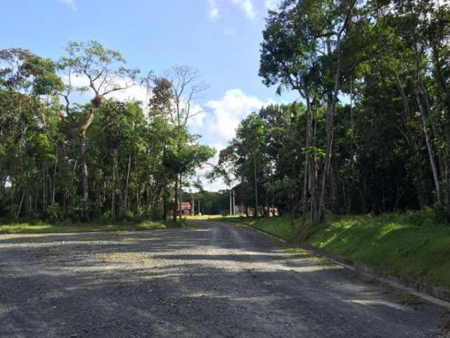 Terreno no Loteamento Reserva da Mata