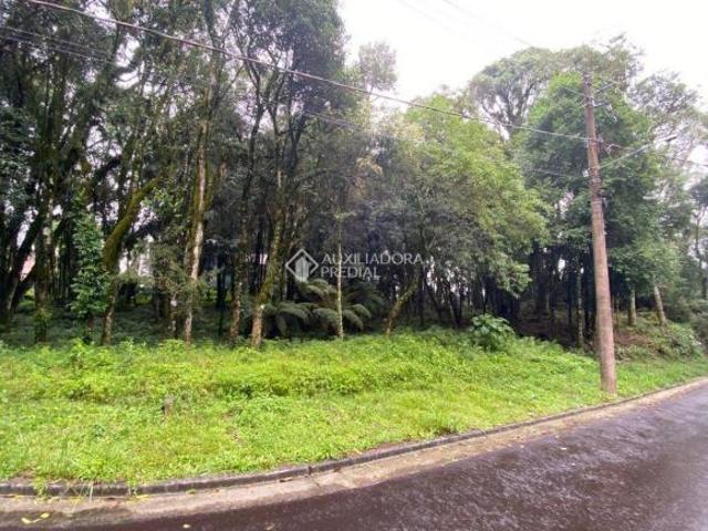 Terreno no loteamento Vivendas do Parque em Gramado