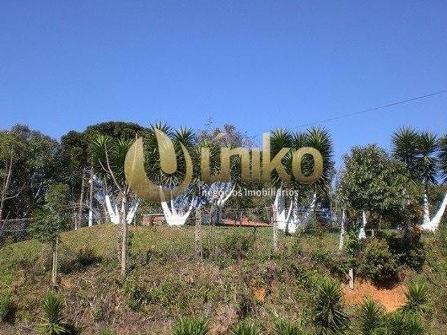 Terreno no Pilarzinho