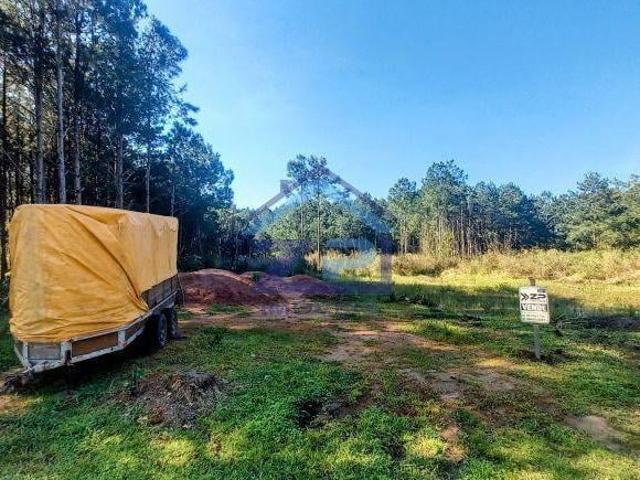 Terreno no Pinus Park