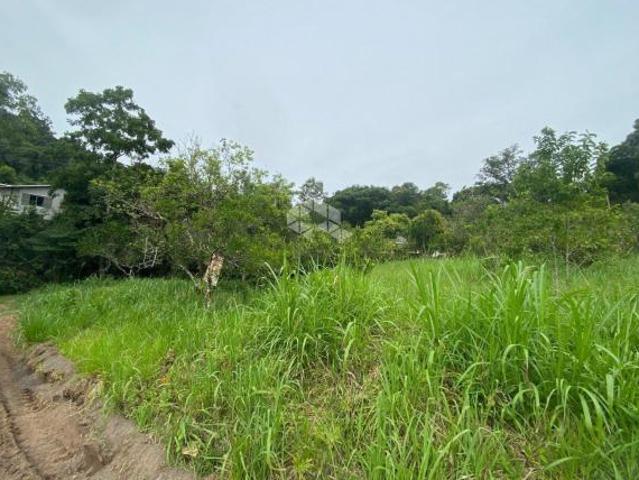 Terreno no Renascença