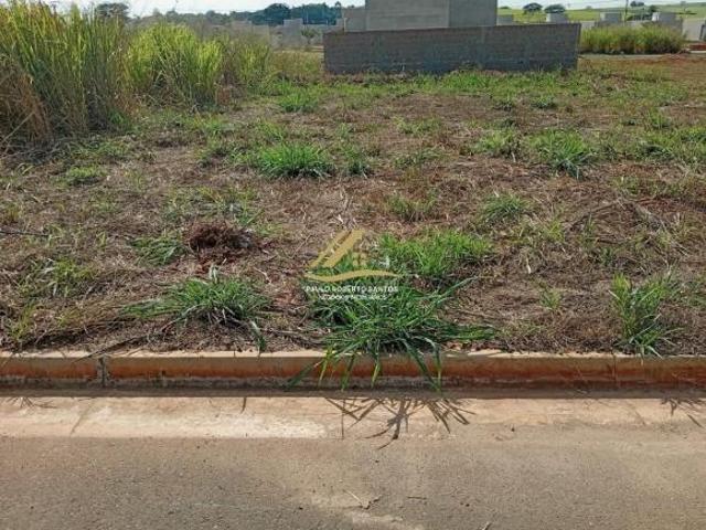 Terreno no Residencial Luz da Esperança | São José do Rio Preto SP: excelente localização residencia
