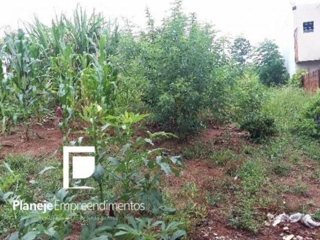TERRENO NO RESIDENCIAL PEROLLA I